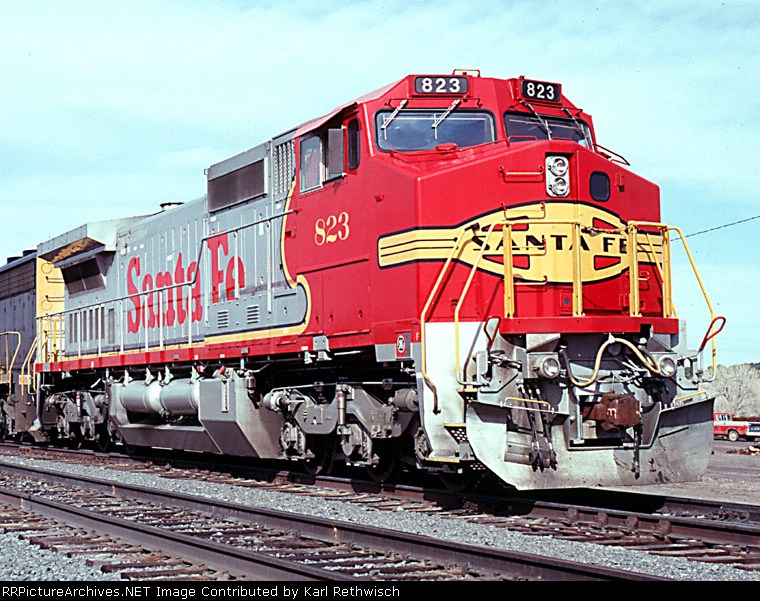 Warbonnet in Trinidad